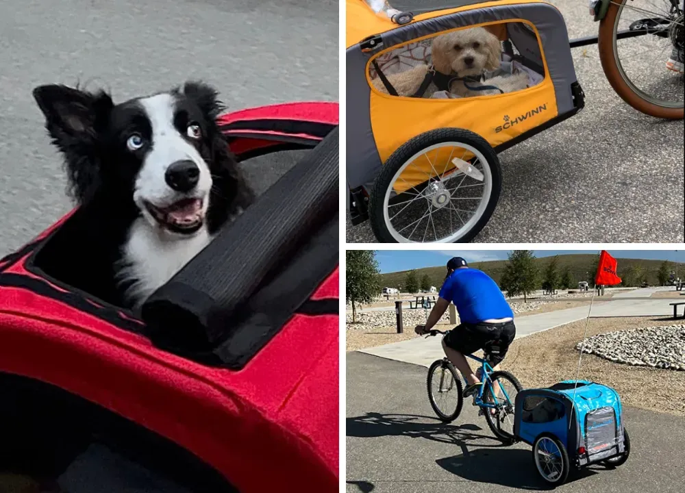 5 Best Dog Trailers: Put the Pup in Cruise Control!
