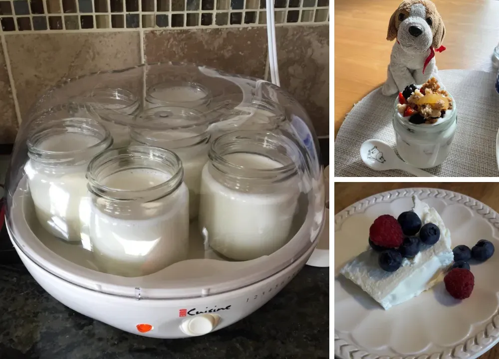 Top 6 Yogurt Makers for Homemade Goodness: A Review
