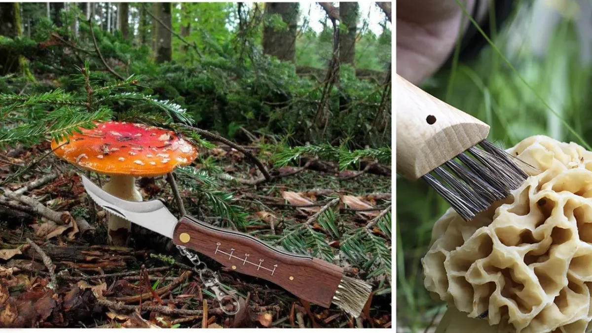 Mushroom-Hunting Made Easier with These 6 Mushroom Knives