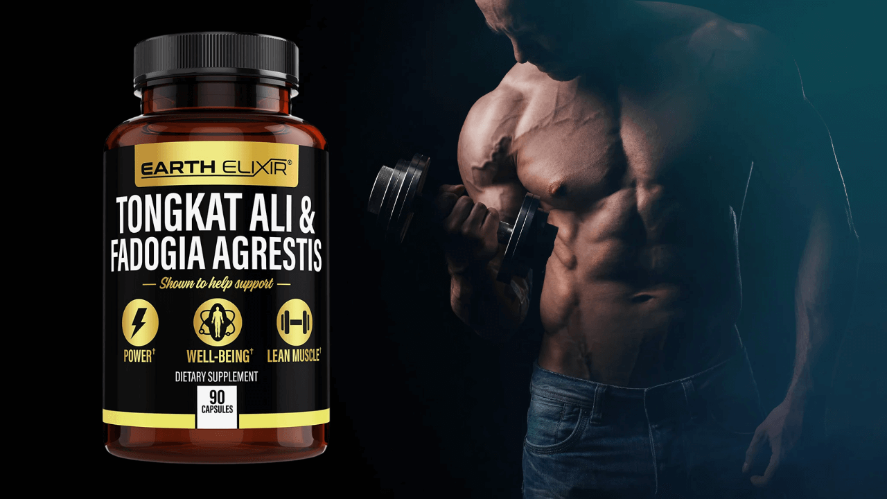 From Better Mood to Increased Stamina – Find the Perfect Tongkat Ali ...